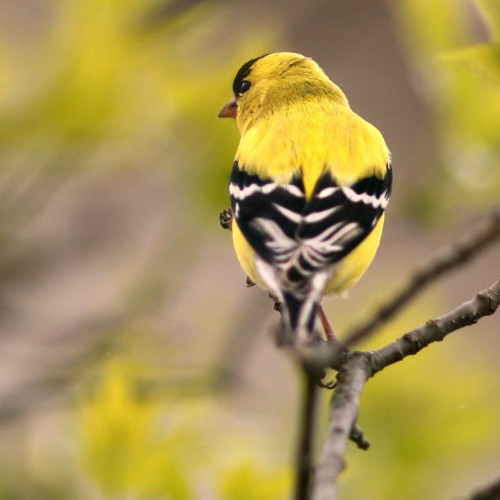 Canted Pictures - An Independent Film Production Company